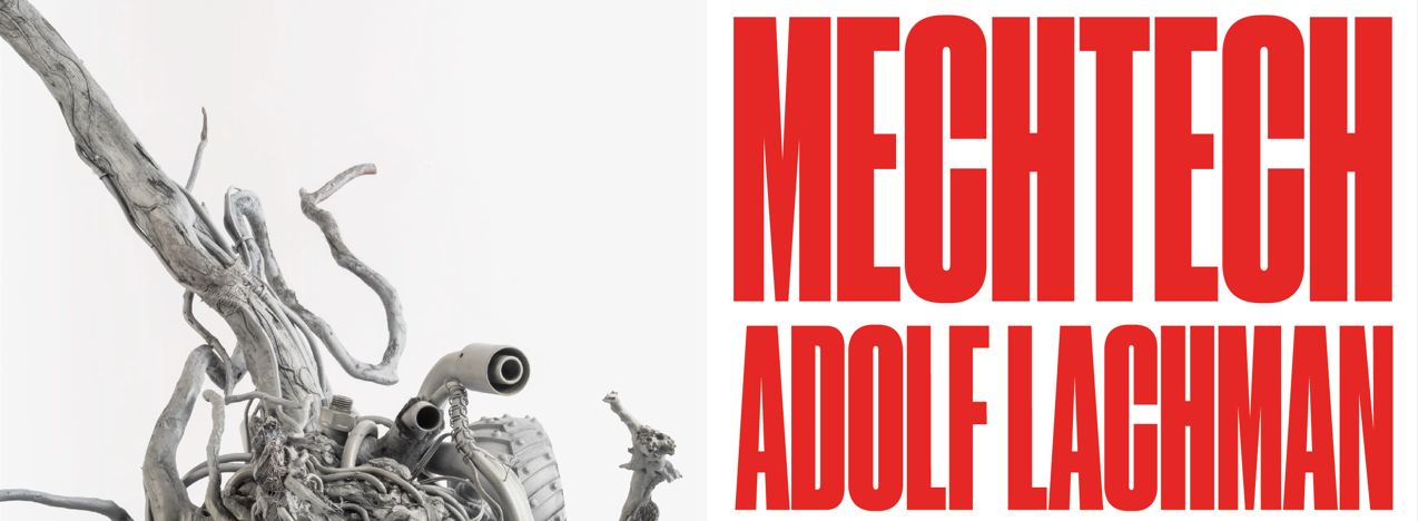 Adolf Lachman – komentovaná prohlídka - Chrudimská beseda